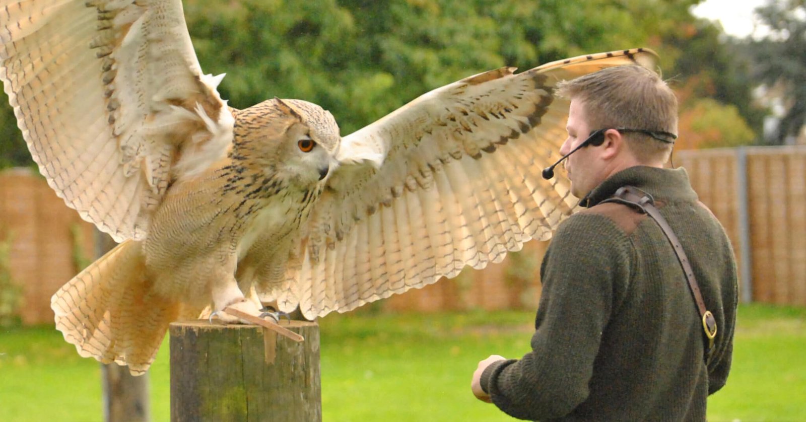 Baytree Owl and Wildlife Centre - iVisit