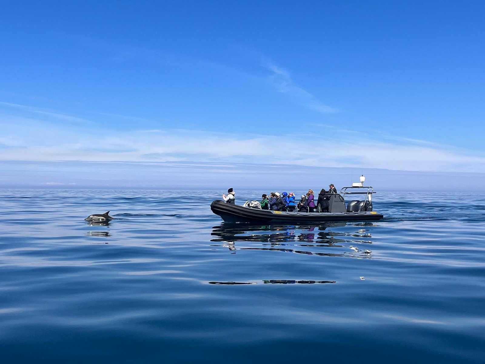 Falcon Boat Trips - iVisit